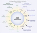 Anandamida: neurotransmissor da felicidade